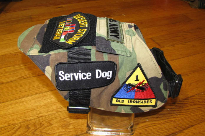 Dog Vests 4 Vets | Indiegogo