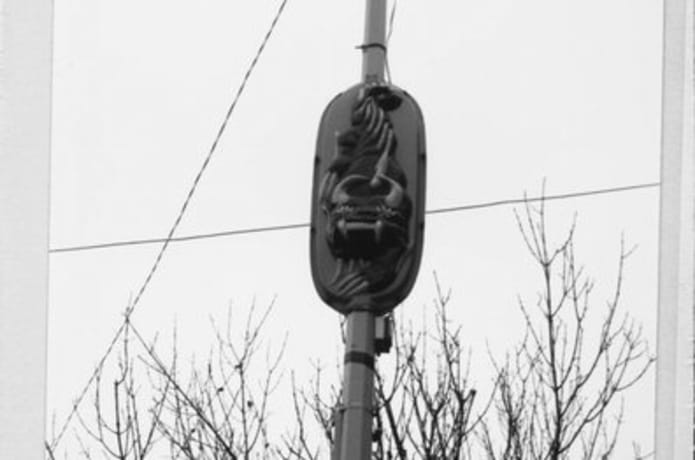 The Hodag film by Danielle Trussoni & Hadrien Royo | Indiegogo