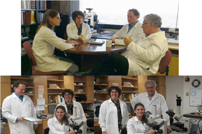 Develop Pregmama's therapy to prevent miscarriage, infertility & birth ...