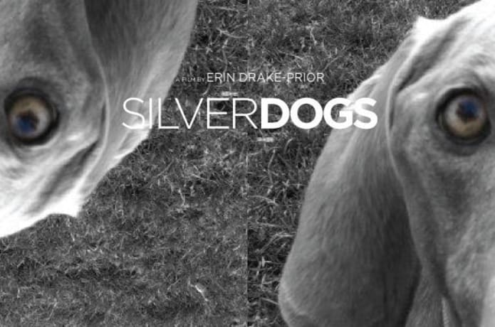 Silver Dogs Short Film | Indiegogo