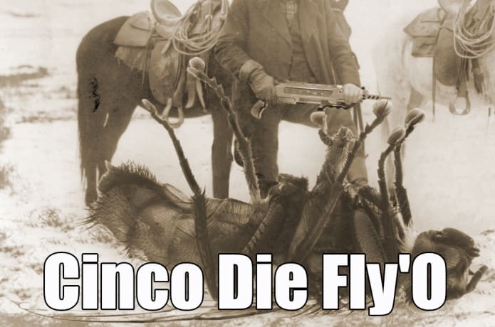 Bug-A-Salt Introduces Camofly 2.0 | Indiegogo