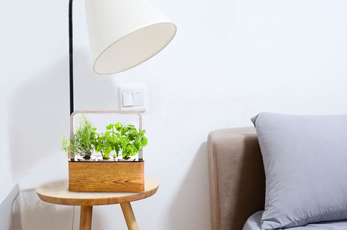 Nature Box: Smart, Simple, Renewable Indoor Garden | Indiegogo