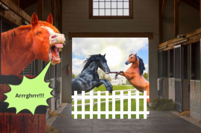 Northern Dancer - Historical Feature Film | Indiegogo