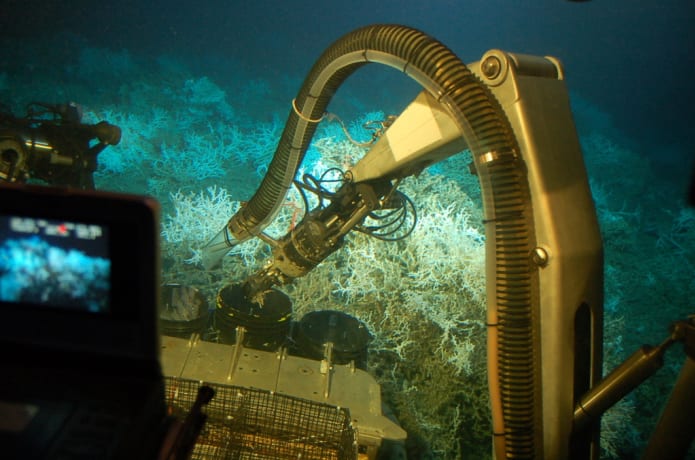 Coralbots: Restoring and Conserving Coral Reefs with Robots | Indiegogo