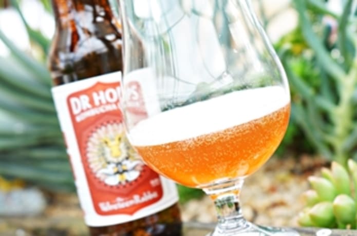 The Dr Hops Kombucha Beer Beverage Revolution | Indiegogo