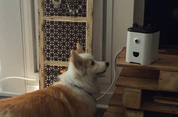 PetBot: Smart Pet Monitor That Keeps You Connected | Indiegogo