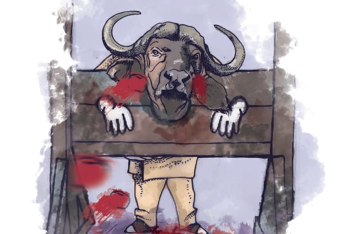 The Weasel Game | Indiegogo