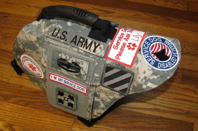 Dog Vests 4 Vets | Indiegogo