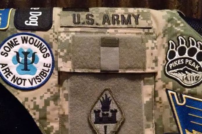 Dog Vests 4 Vets | Indiegogo