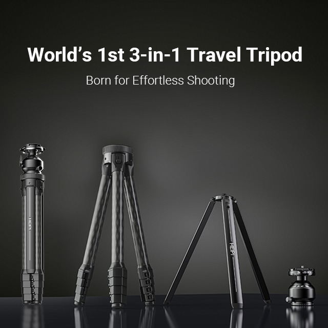 Telergy - The Legend of Goody Cole album | Indiegogo