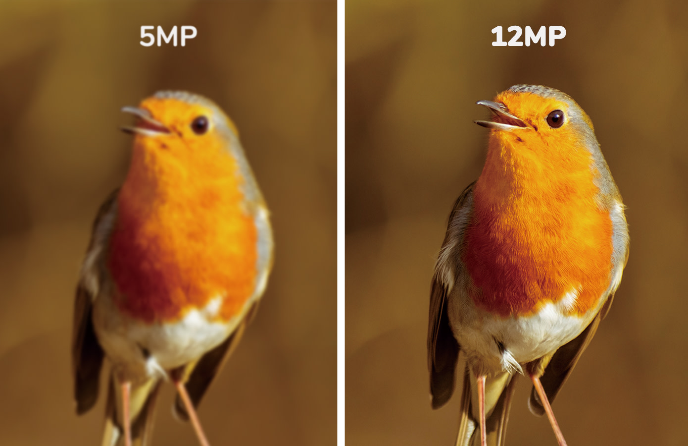 WildPet: Smartest Motion Capture Animal Feeder | Indiegogo