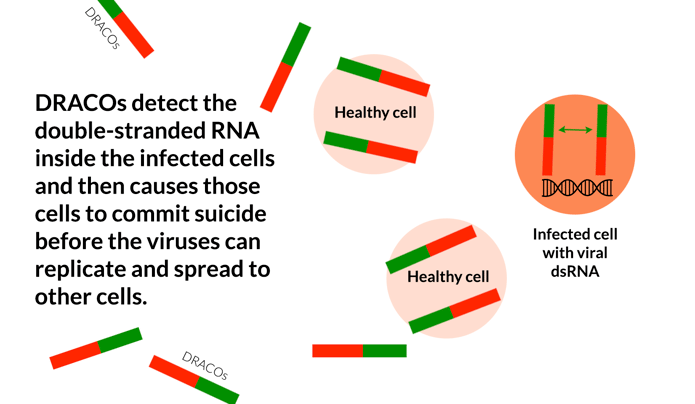 DRACO may be a cure for virtually all viral diseases! – KillingSickness