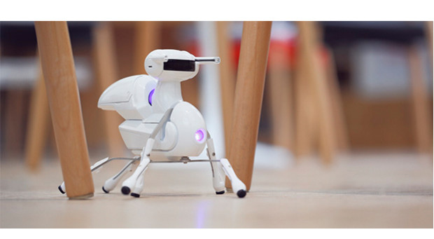 Antbo: An Insect Robot Anyone Can Build