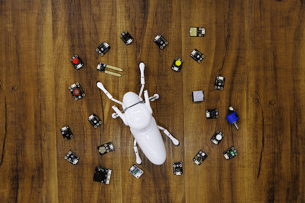 Antbo: An Insect Robot Anyone Can Build