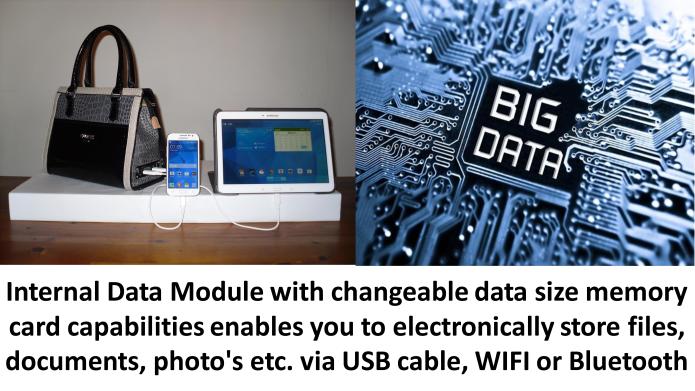 SMART HANDBAG - World's Most Advanced Handbag | Indiegogo