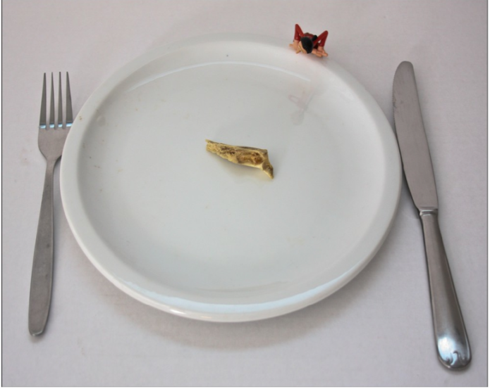 Eat Art Exhibition | Indiegogo