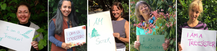 TreeSisters: Igniting a Reforestation Revolution | Indiegogo