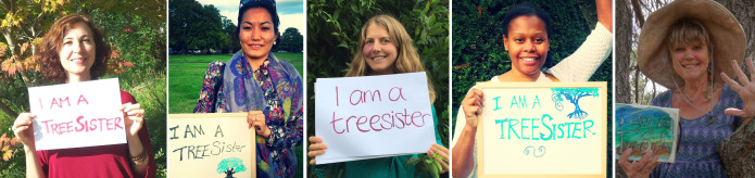TreeSisters: Igniting a Reforestation Revolution | Indiegogo