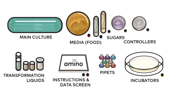 Amino: Desktop Bioengineering for Everyone | Indiegogo