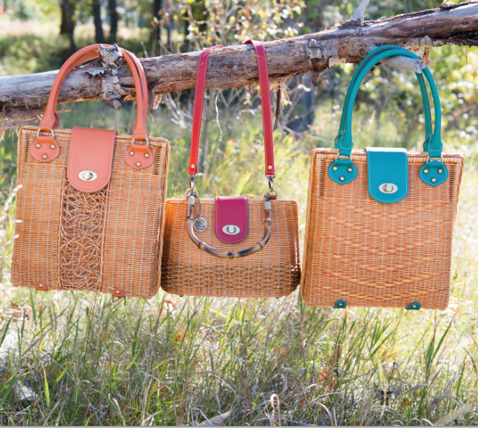 Purse for the People | Indiegogo