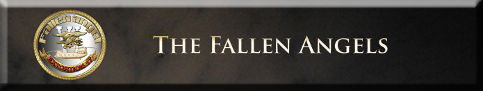 FALLEN ANGEL- SHOOT DOWN OF SEAL TEAM SIX | Indiegogo