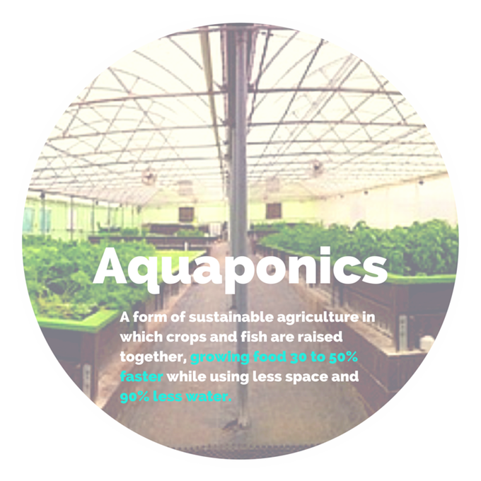 EcoQube C - Your Window To Nature | Indiegogo