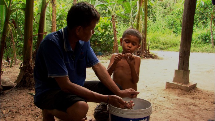 Bugs on the Menu - Theatrical Feature Documentary | Indiegogo