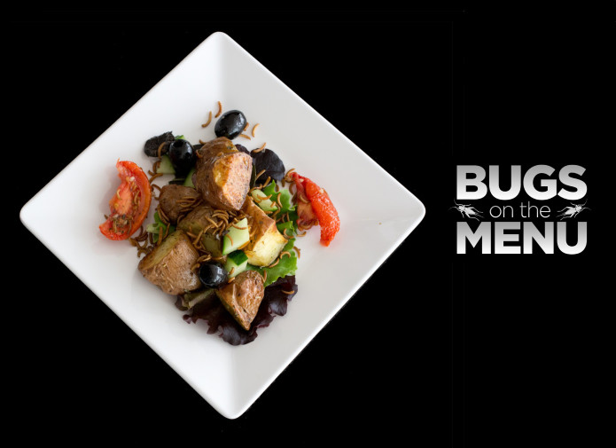 Bugs on the Menu - Theatrical Feature Documentary | Indiegogo