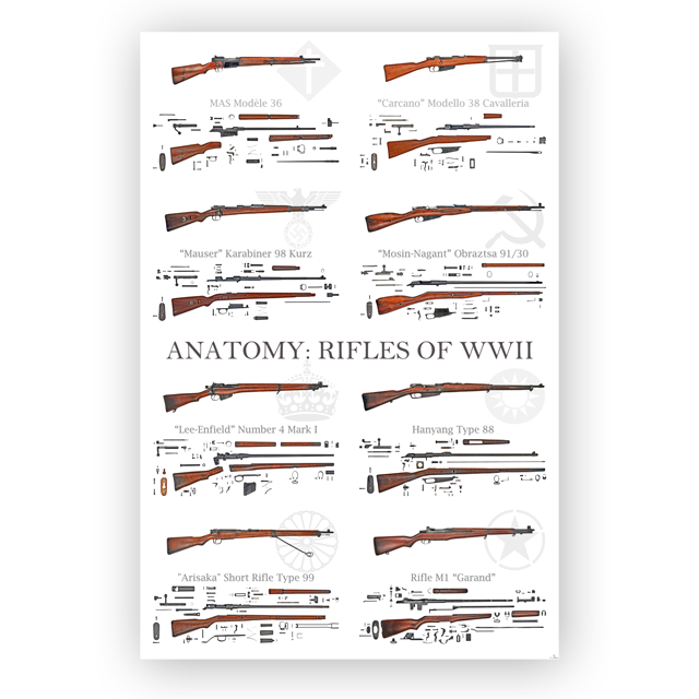 Poster - Anatomy: Rifles of WWII | Indiegogo