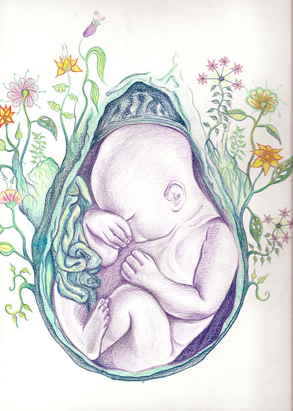 Tales of Human Creation - The Pregnancy Guide | Indiegogo
