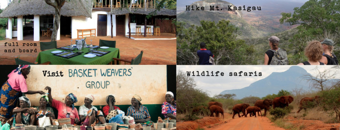 Conservation Revolution to Save Congo Rainforest | Indiegogo