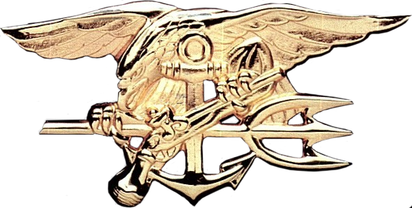 FALLEN ANGEL- SHOOT DOWN OF SEAL TEAM SIX | Indiegogo