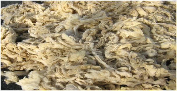 Machines for ecological washing of raw greasy wool | Indiegogo