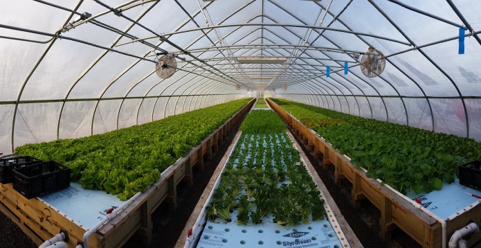 The Microfarm: Organic Gardening for Anyone | Indiegogo