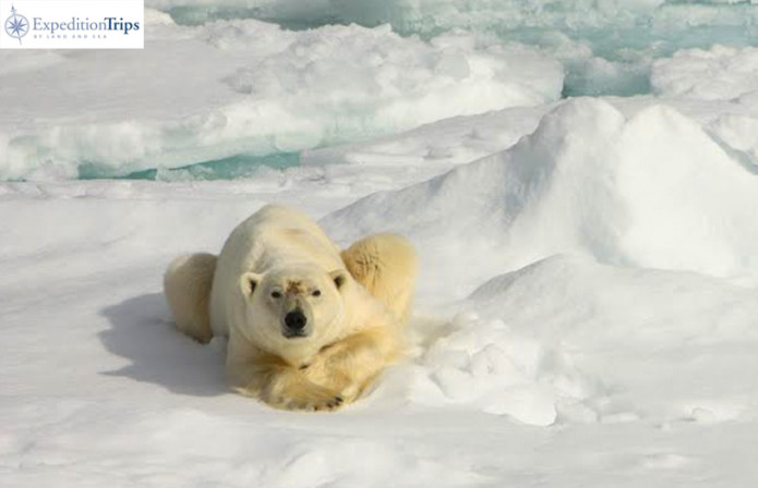 Jetzy: Travel Like a Local | Indiegogo