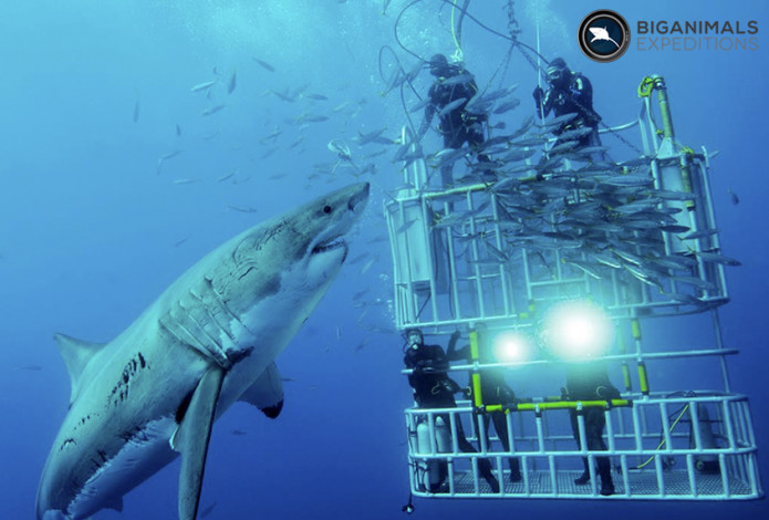 Jetzy: Travel Like a Local | Indiegogo