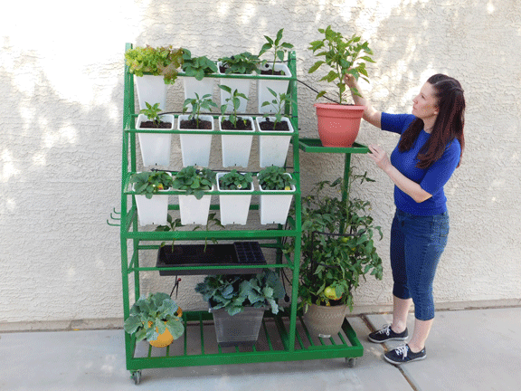 Mobile Garden System | Indiegogo