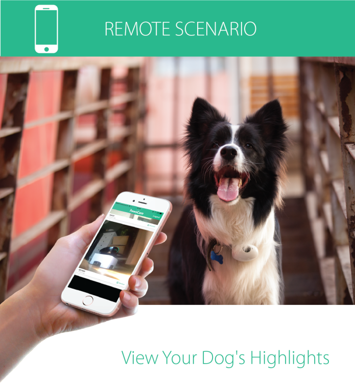 PawsCam - Smart, Wearable Camera for Your Dog | Indiegogo