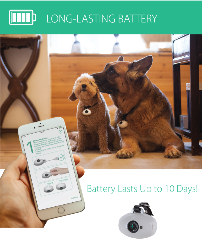 PawsCam - Smart, Wearable Camera for Your Dog | Indiegogo