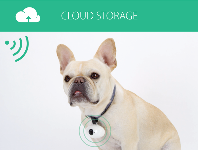 PawsCam - Smart, Wearable Camera for Your Dog | Indiegogo