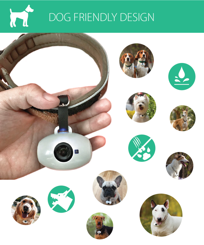 PawsCam - Smart, Wearable Camera for Your Dog | Indiegogo