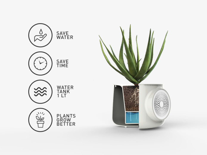 The Most Amazing Natural Air Purifier | Indiegogo