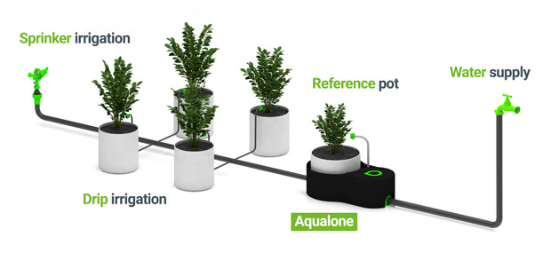AQUALONE, save your water bill for garden & crops | Indiegogo