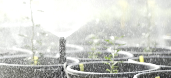 AQUALONE, save your water bill for garden & crops | Indiegogo