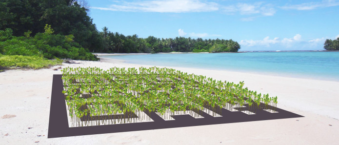 Art Mangroves project in Tuvalu | Indiegogo