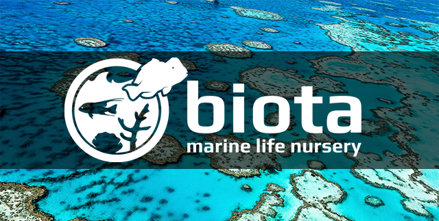 BIOTA: Smart, Easy & All-In-One Saltwater Aquarium | Indiegogo