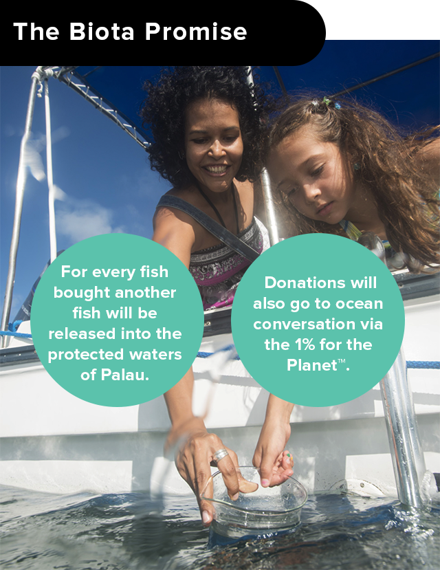 BIOTA: Smart, Easy & All-In-One Saltwater Aquarium | Indiegogo