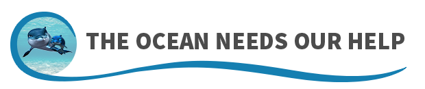 Daniel Dolphin and the Guardians of the Ocean | Indiegogo