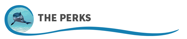 Daniel Dolphin and the Guardians of the Ocean | Indiegogo