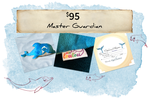 Daniel Dolphin and the Guardians of the Ocean | Indiegogo